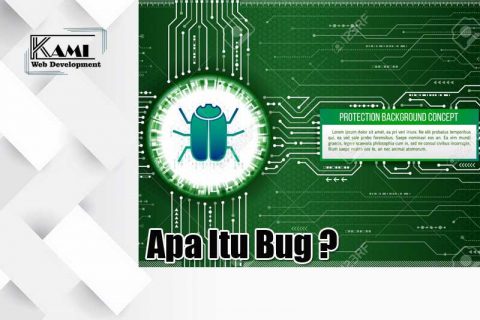 Apa Itu Bug